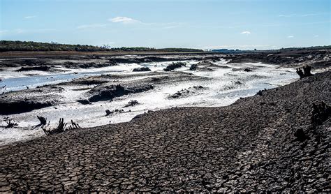 Crisis hídrica en Uruguay por qué Montevideo se está quedando sin