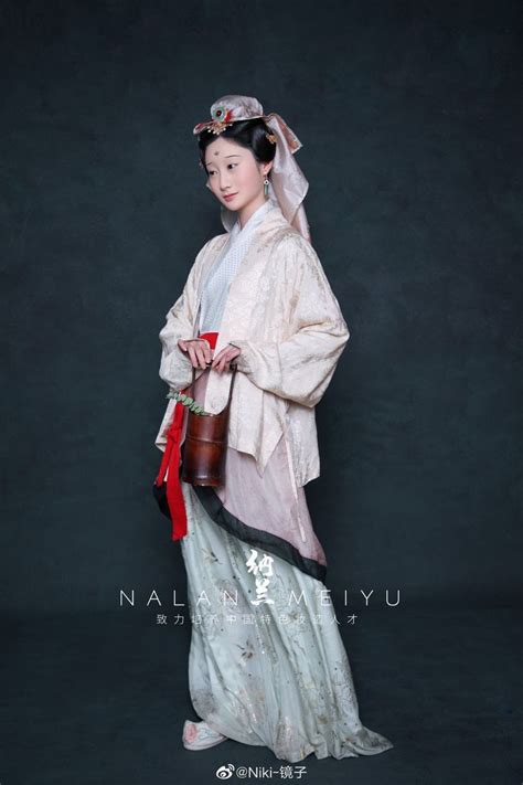 Hanfu China Song Dynasty Chinese Traditional Clothing Hanfu