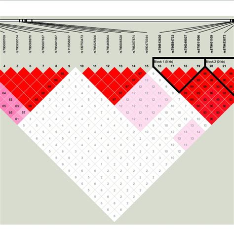 The Linkage Disequilibrium LD Plot Depicts The Structure Of
