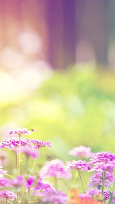 Bright Iphone Baggrunde Wallpapers