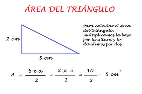 Como Calcular El Area De Un Triangulo