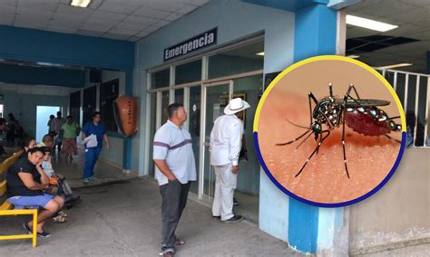 Alarmante Dengue Le Arrebata La Vida A Otro Menor En Hospital De
