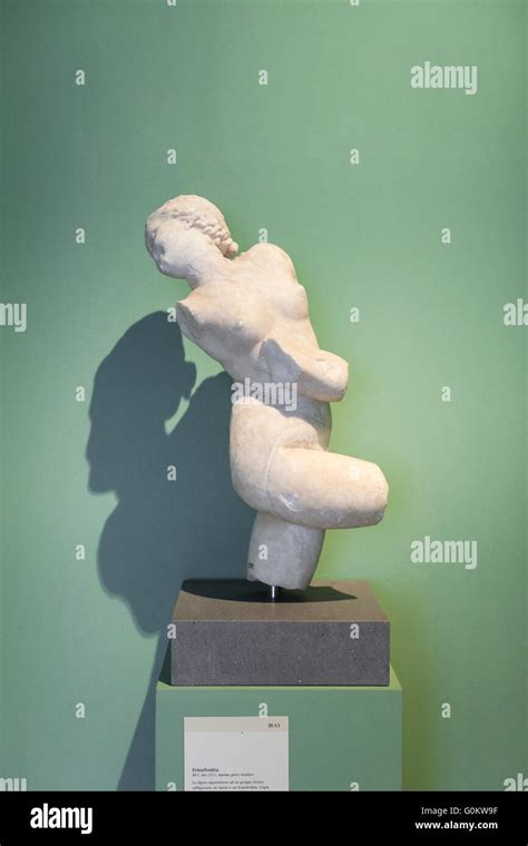 Hermaphrodite Hi Res Stock Photography And Images Alamy