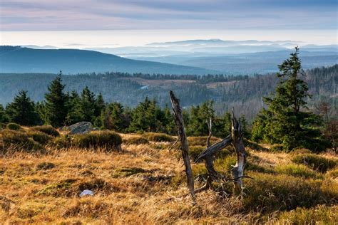 De 15 Mooiste Natuurgebieden Van Duitsland 2024