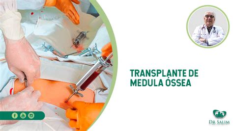 Transplante De Medula Ssea Dr Salim Crm Sp