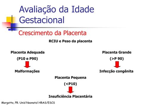 PPT Assistência ao RecémNascido PowerPoint Presentation free