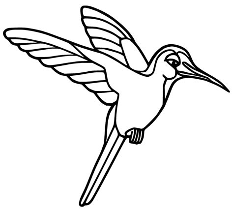 59 Hummingbird Coloring Pages ColoringPagesOnly