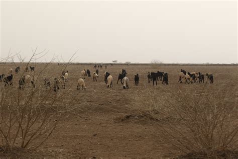 Project Story Disaster Risk Reduction Needs To Sit At The Heart Of