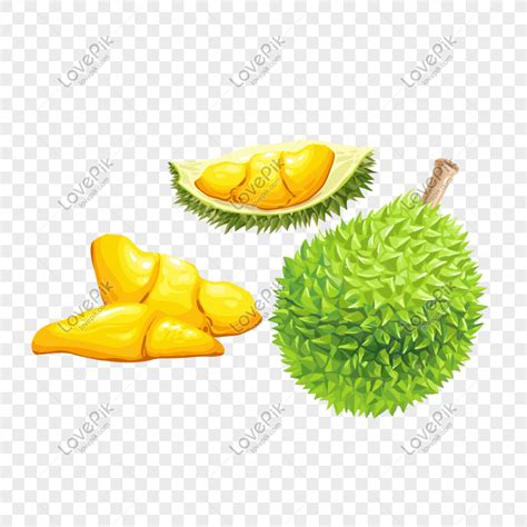 Cartoon Durian Vector Material Free PNG And Clipart Image For Free