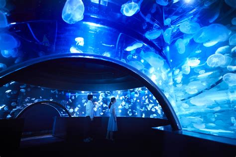 京都水族館 NAKED GARDEN ONE KYOTO公式デジタルガイド ARスタンプラリー NAKED GARDEN ONE KYOTO