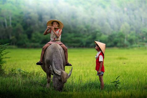 Bộ Sưu Tập Hình Nền Trẻ Trâu Cực Chất Với Hơn 999 Hình Nền 4K