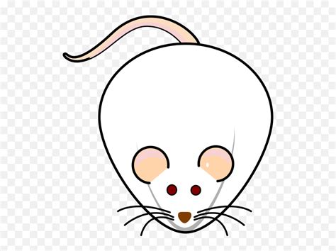 Balb C Mice Png Clipart Full Size Clipart 1327151 Cartoon Mice Png