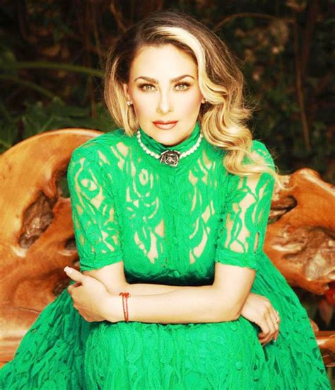 Aracely Arámbula explotó contra Luis Miguel y habló de Paloma Cuevas