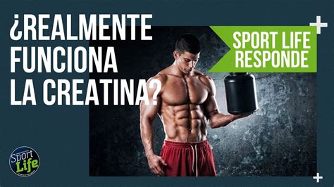 CREATINA Realmente funciona Cuáles son sus beneficios SPORT LIFE