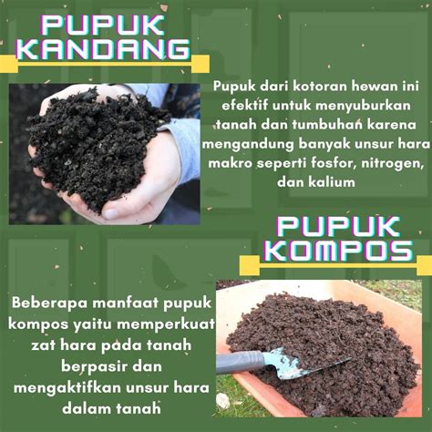 Konsep Proses Angkut Pupuk Kebutuhan Pembibitan Kelapa Sawit