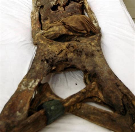 German Mummy Project Forscher Entlocken Mumien Letzte Geheimnisse WELT