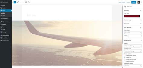 Css How Can I Remove The White Space Between A Header And A Slider In