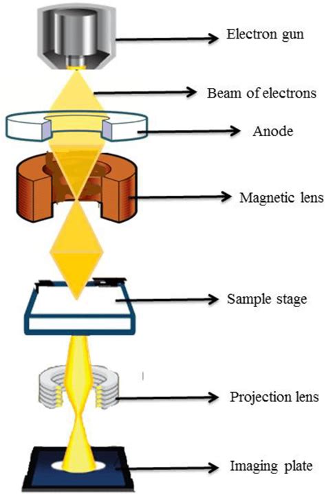 Principle Of Electron Microscope