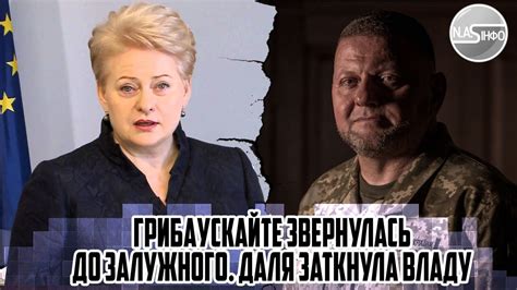 Вибач Грибаускайте звернулась до Залужного Даля заткнула ВЛАДУ
