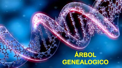 ÁRBOL GENEALÓGICO Alí Anibal Ramos Valencia uDocz