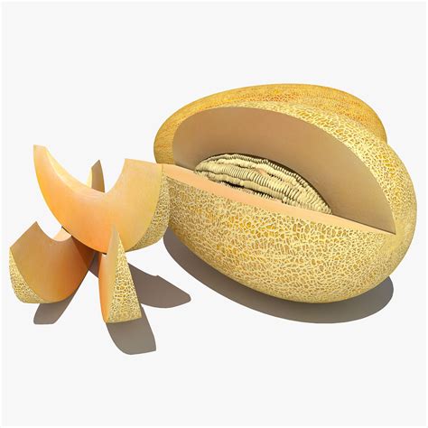Melone 3d Modell 39 Max Free3d