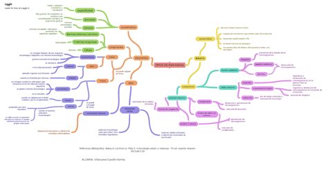 Mapa Conceptual De Inmunidad