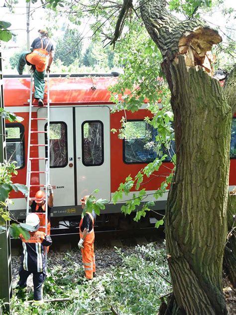 Brennender Baum stürzt in S Bahn Leitung Bilder