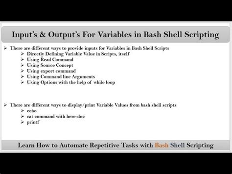 Section Video Inputs Outputs For Variables In Bash Shell