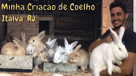 Minha Criação de Coelhos YouTube
