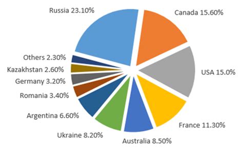 This Giant Map Shows The Top Export Of Every Country
