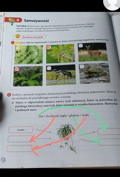 Na dobry początek1 Proszę o szybką pomoc z biologi Brainly pl