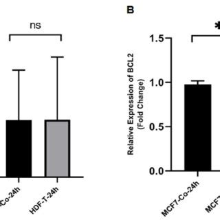The Effects Of The Ethanolic Extract Of O Corniculata On P53