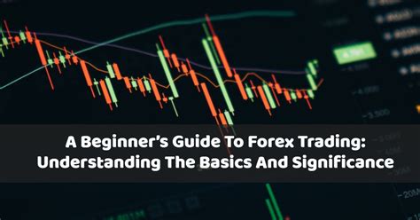 A Beginner S Guide To Forex Trading Understanding The Basics And