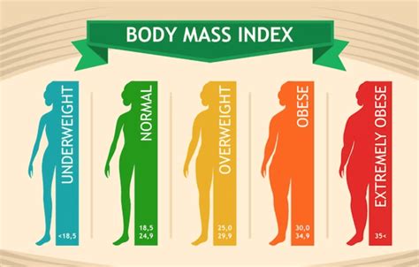 Body Mass Index Facts And Myths Cure Medical Centers