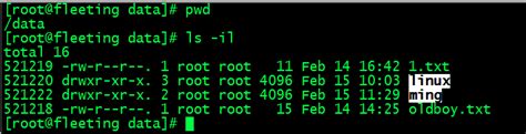 linux命令功能ls 【linux】 ls命令详解 csdn博客