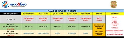 Plano De Estudos Para Pcdf Gabriela Melo Vis O E Foco