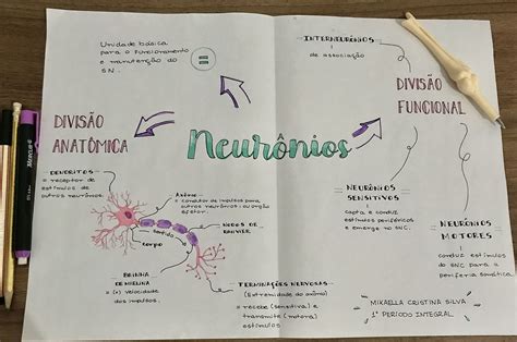 Mapa Mental Sobre Neuronios Ologia
