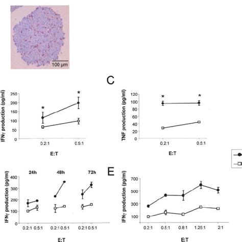 Down Regulation Of Hsp70 Expression In Three Dimensional Lung Cancer