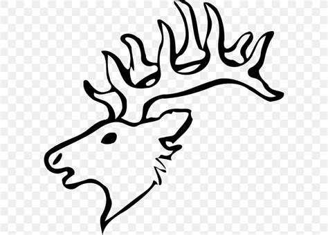 White Tailed Deer Reindeer Drawing Clip Art Png X Px Deer
