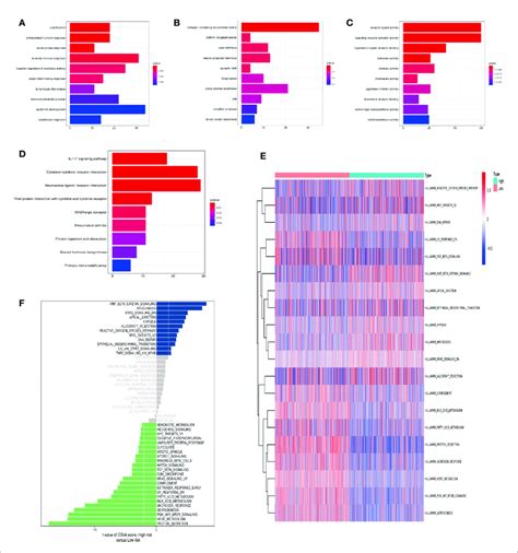 Functional Enrichment Analysis And Gene Set Variation Analysis