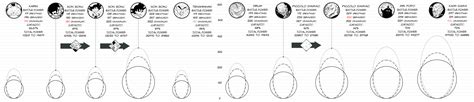 Official Unofficial Power Level Discussion Thread Page Kanzenshuu