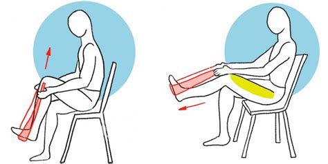 Tendinitis de la Pata de Ganso Doctora María Valdazo