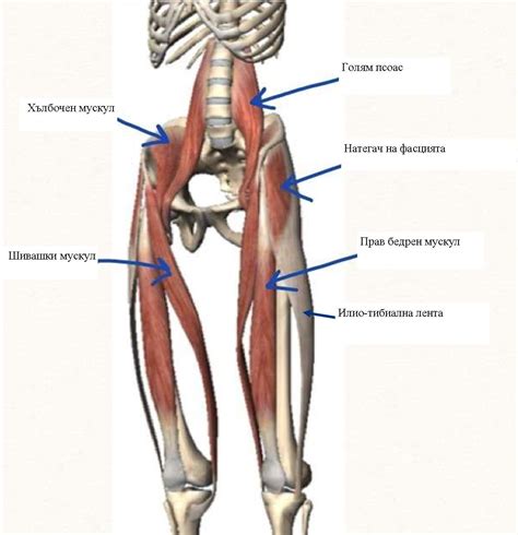Bulgarianashtanga