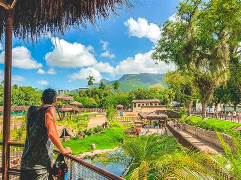 Como O Bioparque Do Rio De Janeiro