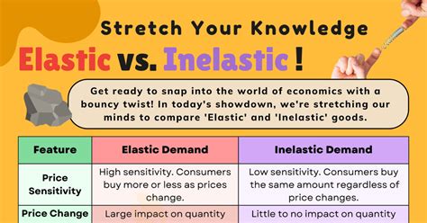 Inelastic Vs Elastic Demand Understanding The Key Differences 7ESL