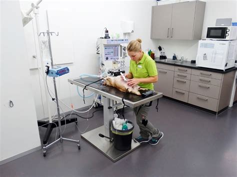 Klinikrundgang Kleintier Spezialisten Klinik ARC
