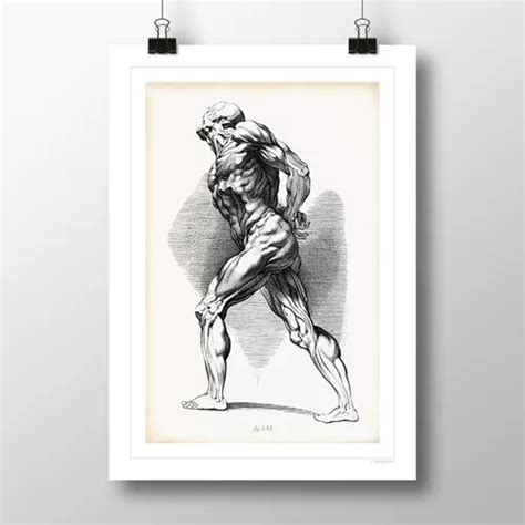 Anatomía Humana 20 Láminas Pósters Vintage Antiguo Deco en venta en