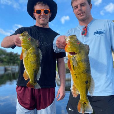The 15 Best Peacock Bass Fishing Guides In Florida