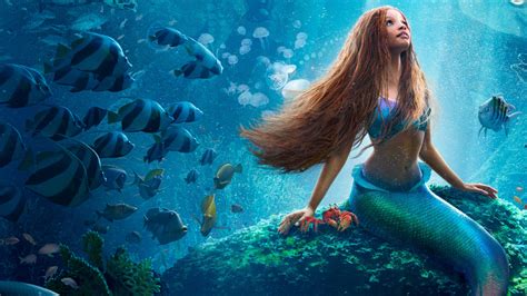 La Petite Sirene Streaming Vf Extreme Down