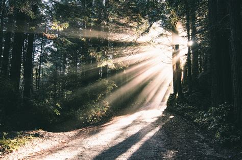 Hintergrundbilder Sonnenlicht Landschaft Wald Natur Gras Himmel